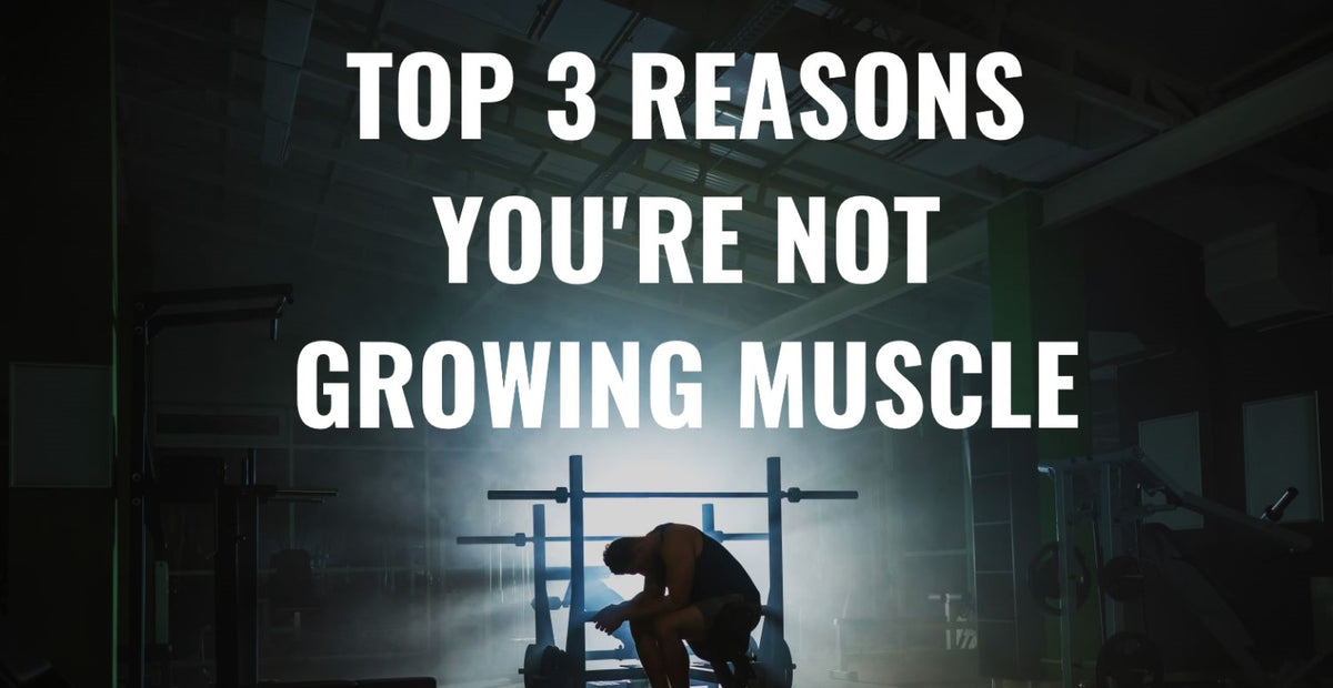 Top 3 Reasons You're Not Growing Muscle – KillerLabz